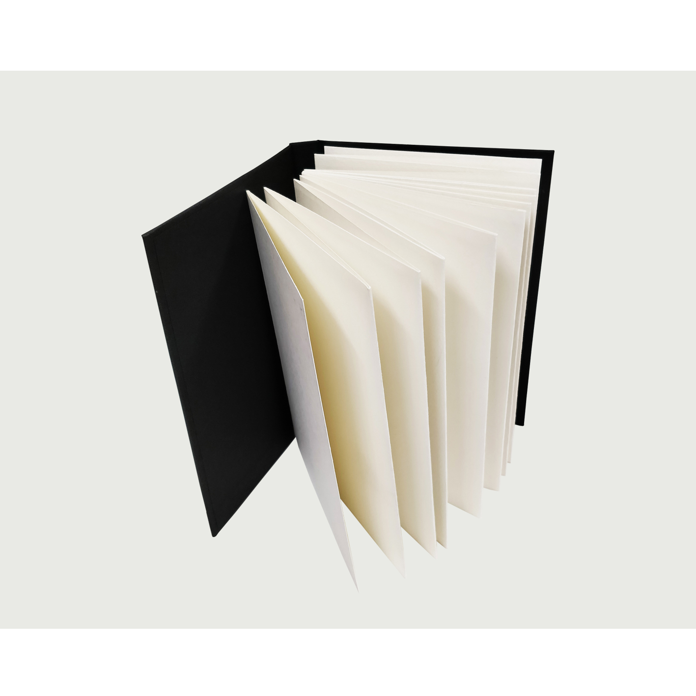 - Intaglio Printmaker