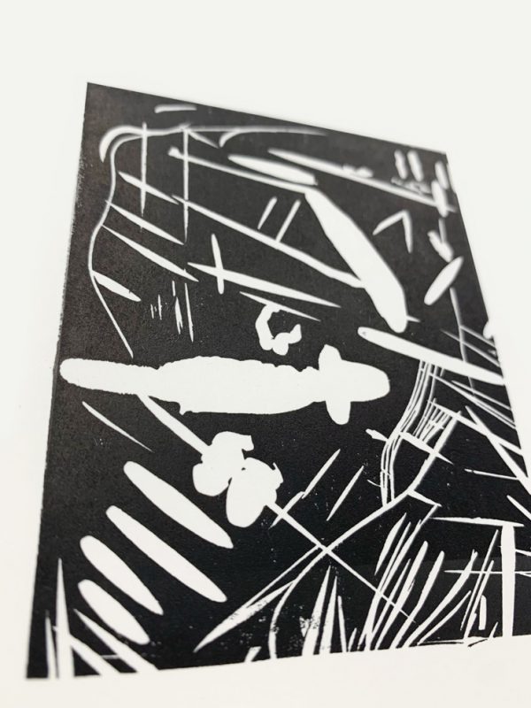 New Canaletto Velino Paper: what is good for? - Intaglio Printmaker